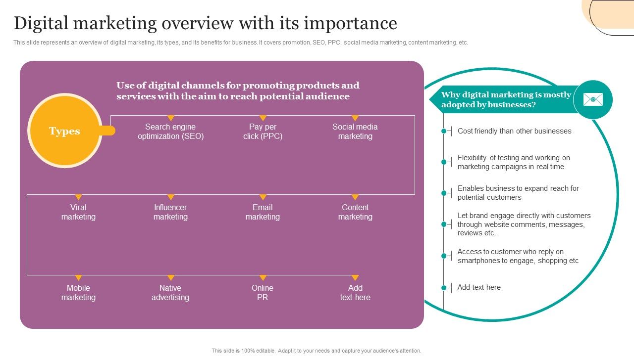 Digital Marketing Overview With Its Importance Ppt Gallery Sample PDF