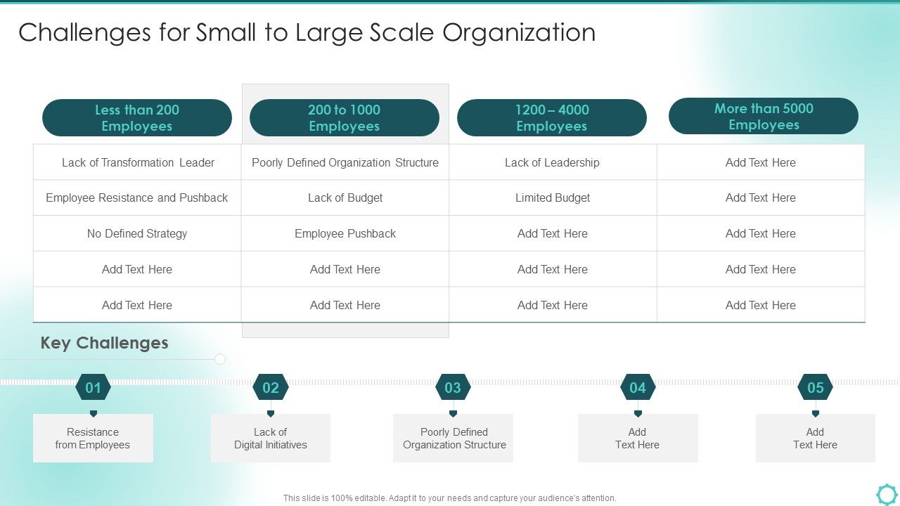 Digitalization Of Transportation Enterprise Challenges For Small To Large Scale Organization