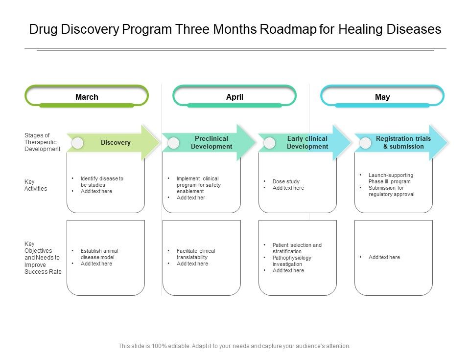 Drug Discovery Program Three Months Roadmap For Healing Diseases Formats