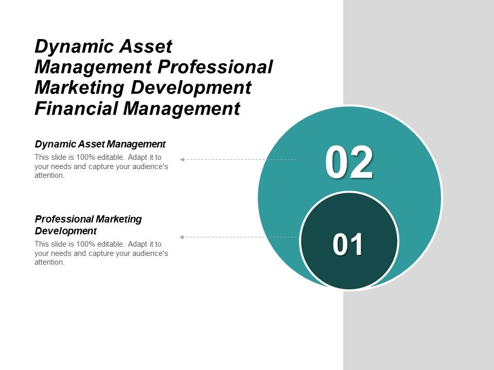 Dynamic Asset Management Professional Marketing Development Financial Manag