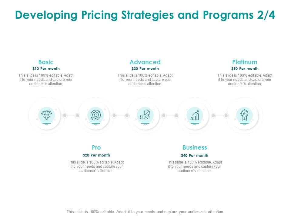 EMM Solution Developing Pricing Strategies And Programs Basic Diagrams PDF