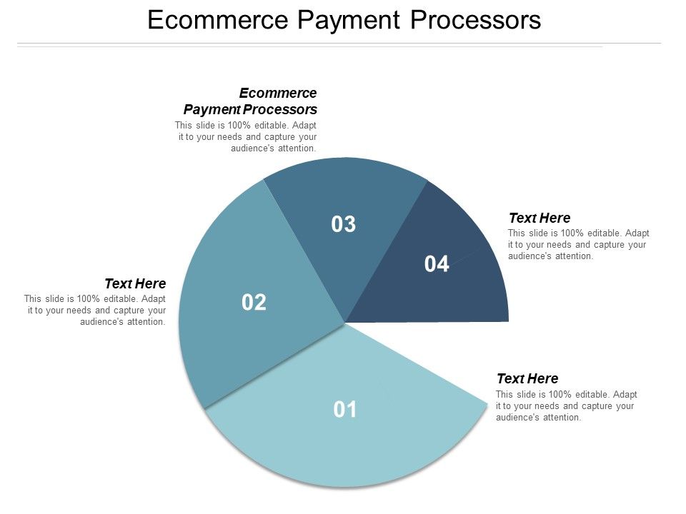 Ecommerce Payment Processors Ppt Powerpoint Presentation Layouts Example File