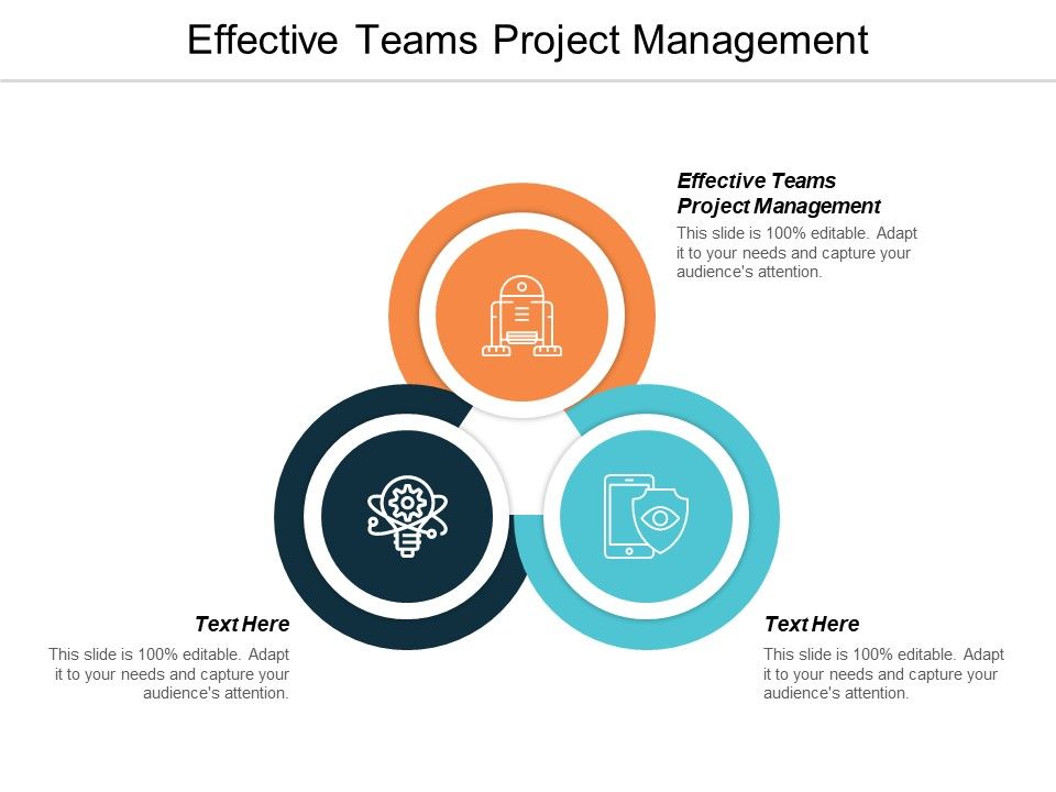 Effective Teams Project Management Ppt PowerPoint Presentation Outline Slideshow Cpb