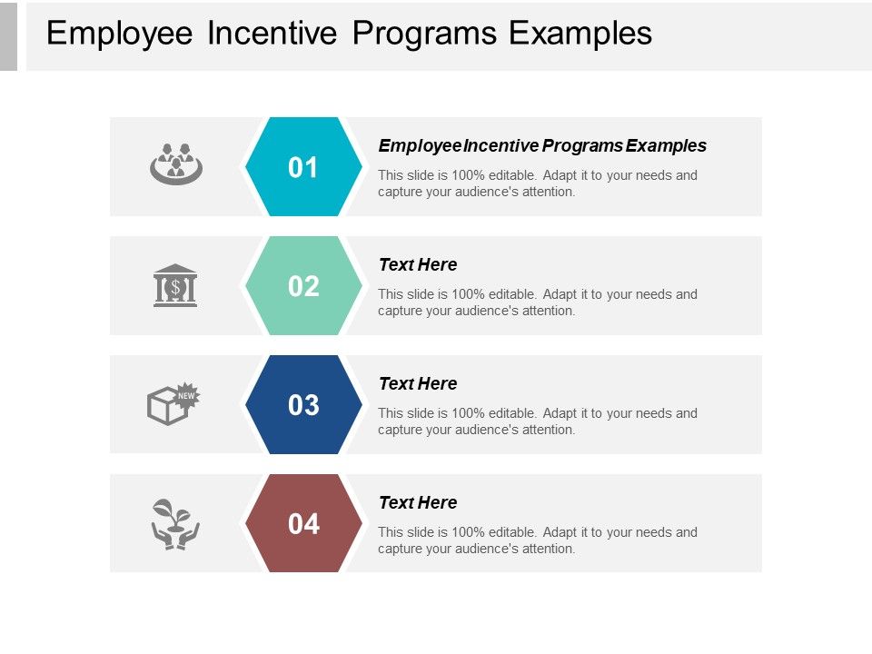 Employee Incentive Programs Examples Ppt PowerPoint Presentation Show Graphics Pictures Cpb