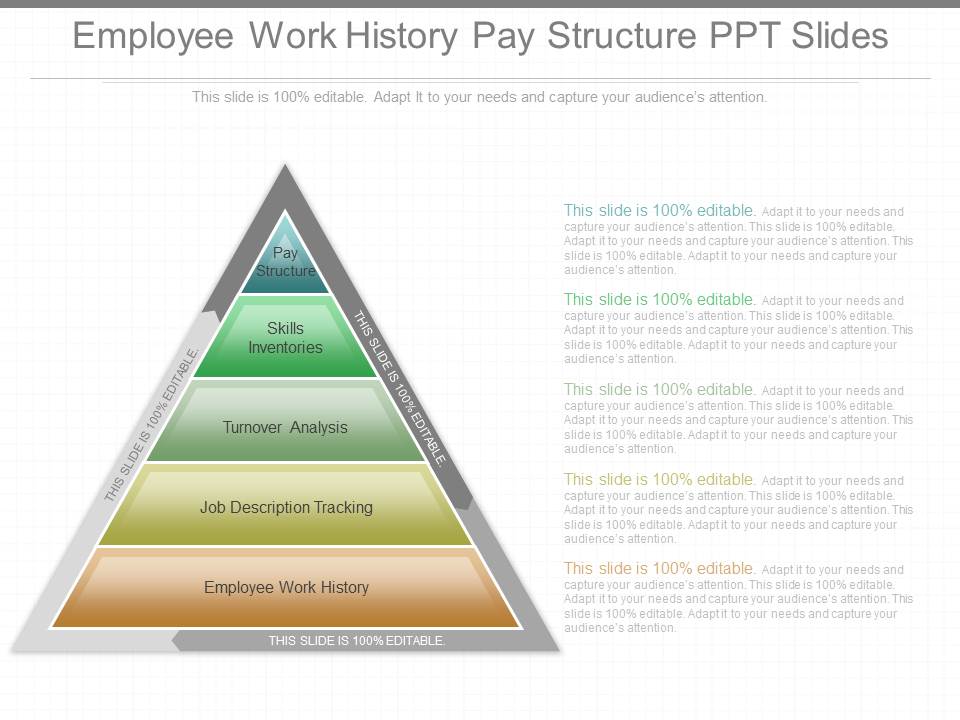 Employee Work History Pay Structure Ppt Slides