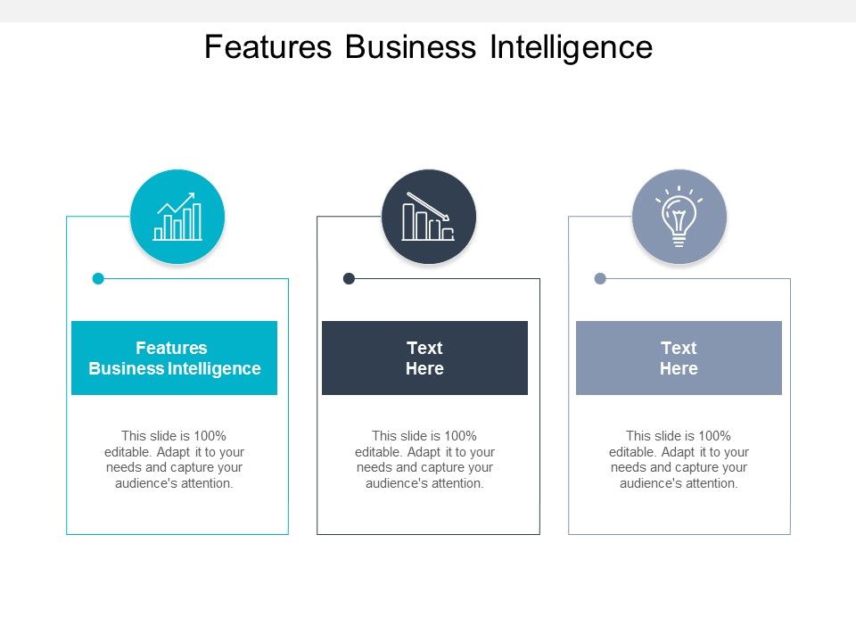 Features Business Intelligence Ppt PowerPoint Presentation Outline Tips Cpb