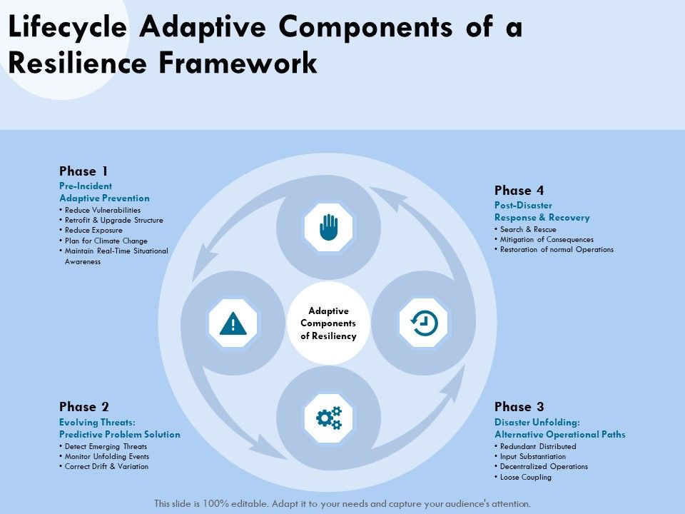 Functional Analysis Of Business Operations Lifecycle Adaptive Components Of A Resilience