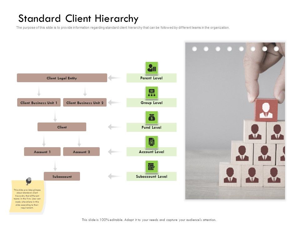 Future Of Customer Onboarding In Banks Standard Client Hierarchy Ppt Gallery Vector Pdf