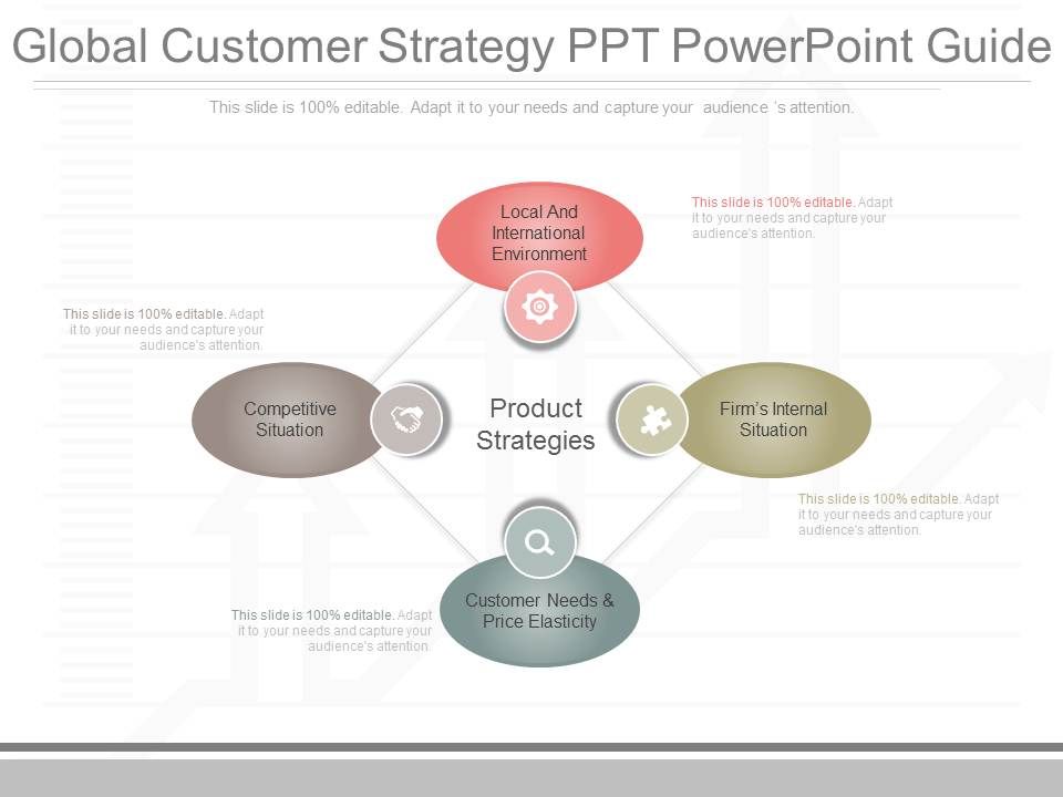 Global Customer Strategy Ppt Powerpoint Guide