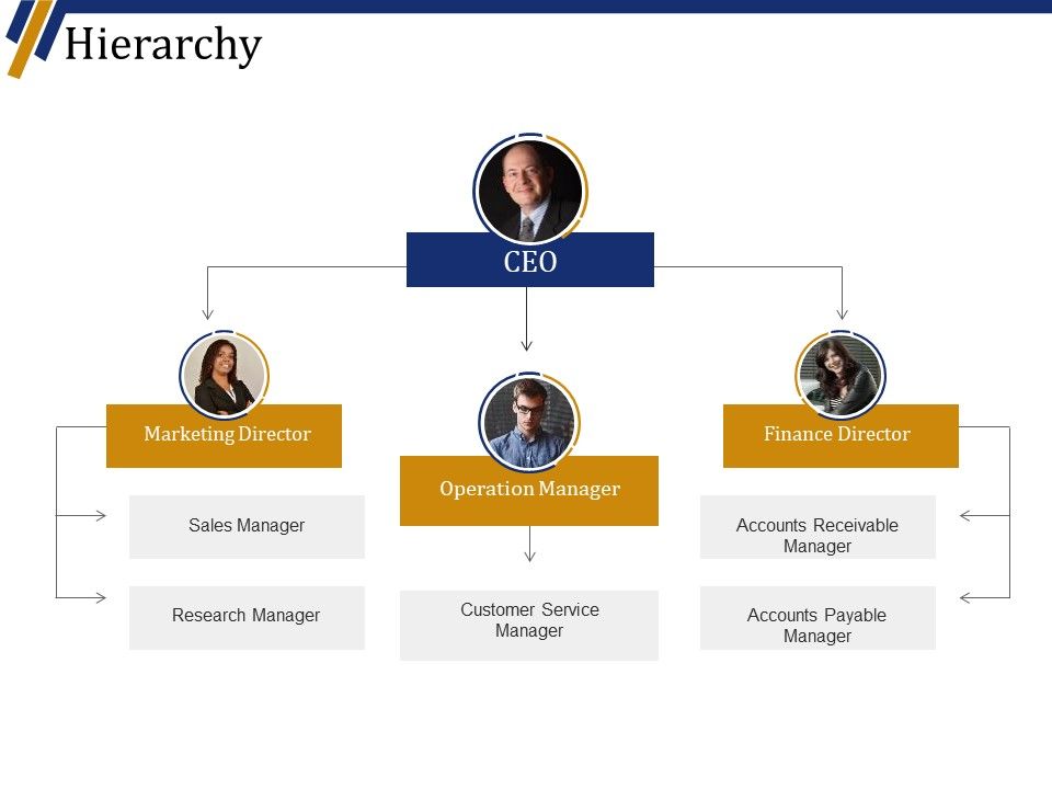 Hierarchy Ppt PowerPoint Presentation Layouts Visuals