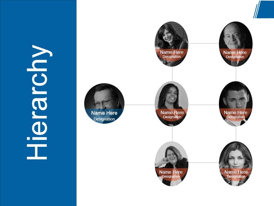 Hierarchy Ppt PowerPoint Presentation Slide Download