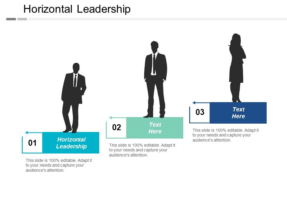 Horizontal Leadership Ppt PowerPoint Presentation Professional Designs ...