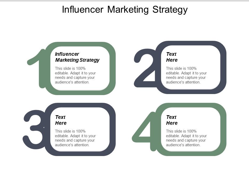 Influencer Marketing Strategy Ppt Powerpoint Presentation Gallery Skills Cpb