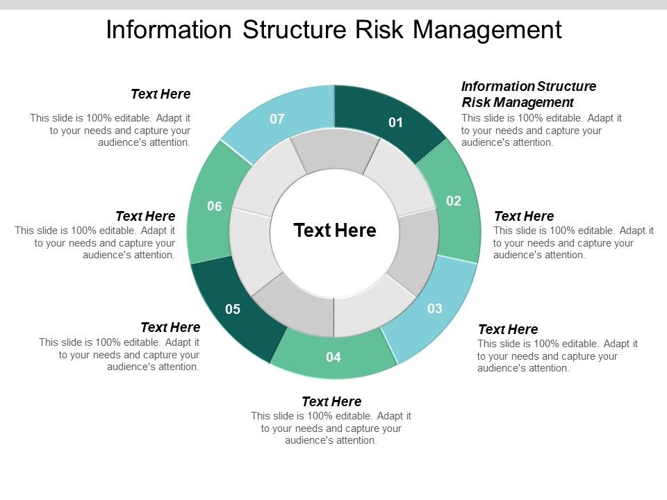Information Structure Risk Management Ppt PowerPoint Presentation File Graphics Example Cpb