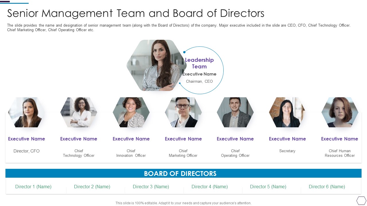 Information Technology Firm Report Example Senior Management Team And Board