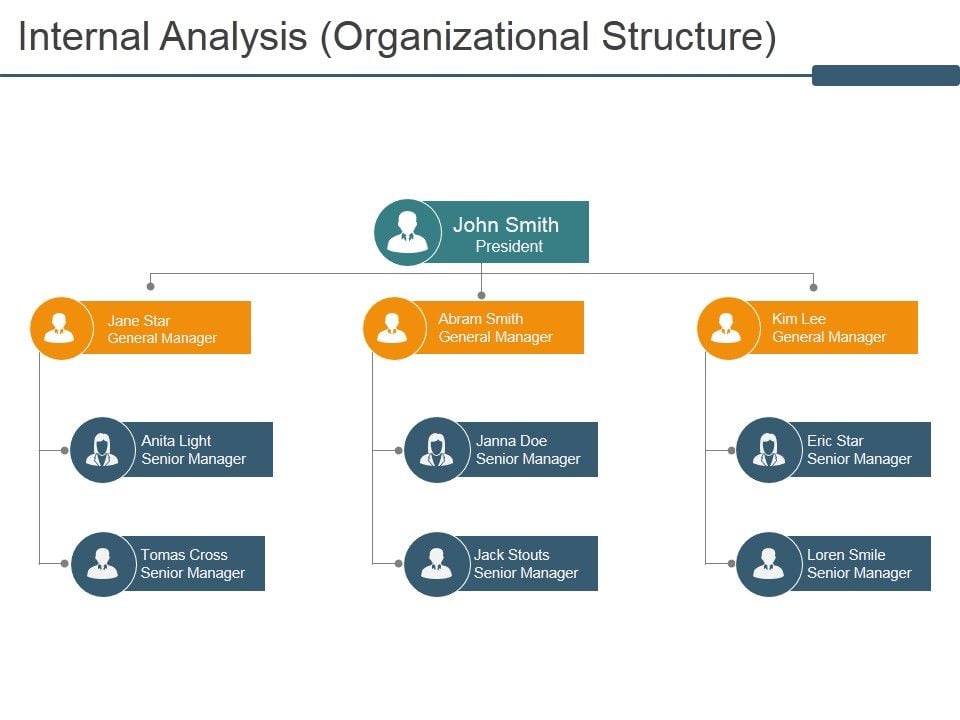 Internal Analysis Organizational Structure Ppt PowerPoint Presentation ...