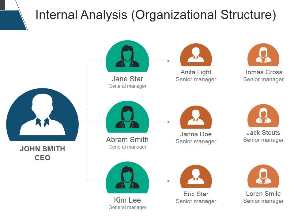 Internal Analysis Organizational Structure Ppt PowerPoint Presentation ... Internal Analysis Organizational Structure Ppt PowerPoint Presentation ...