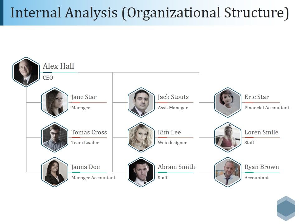 Internal Analysis Organizational Structure Ppt PowerPoint Presentation ...