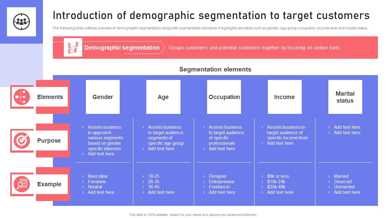 Introduction Of Demographic Segmentation To Target Customers