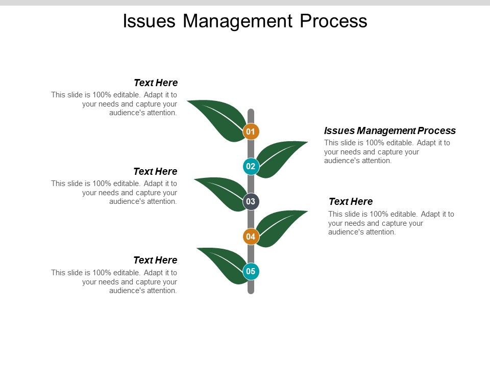 Issues Management Process Ppt PowerPoint Presentation Infographics ... Issues Management Process Ppt PowerPoint Presentation Infographics ...