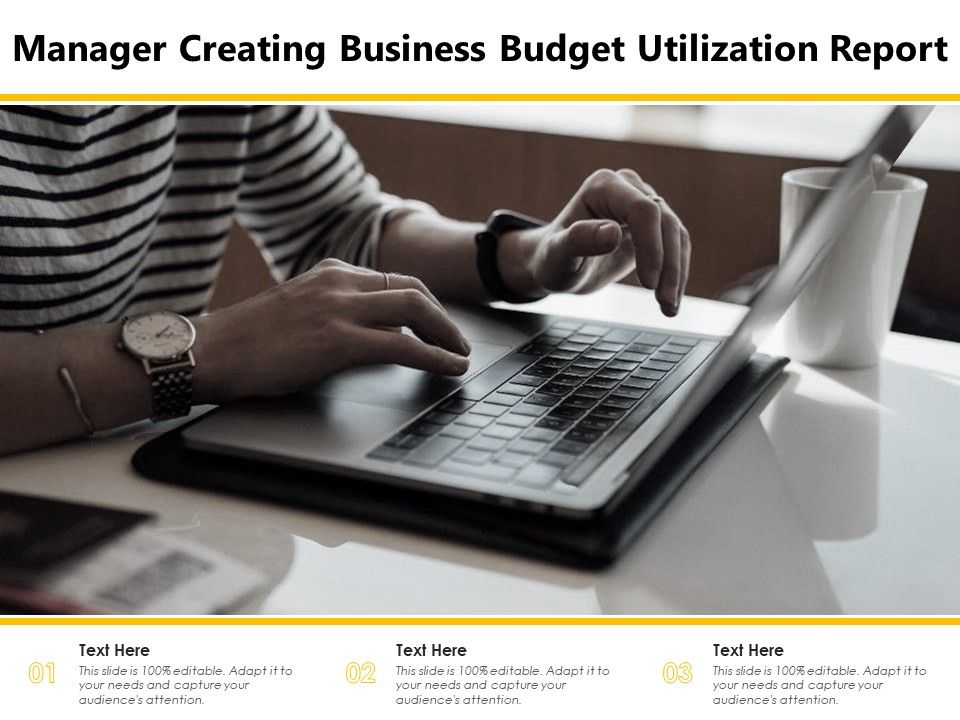 Manager Creating Business Budget Utilization Report Ppt Powerpoint Presentation Infographic