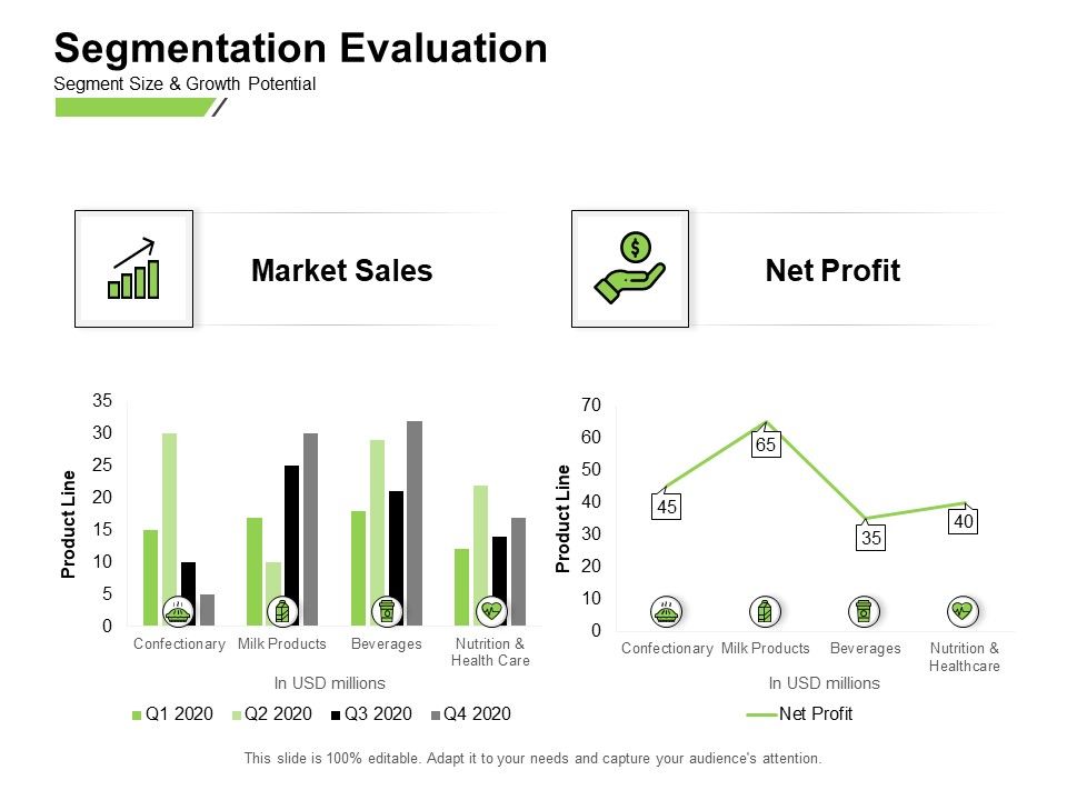 Marketing Performance Measurement Segmentation Evaluation Ppt Gallery Picture PDF