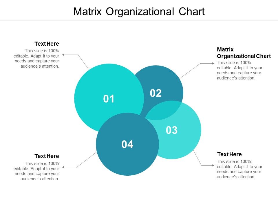 Matrix Organizational Structure Ppt Powerpoint Presentation Matrix Organizational Structure Ppt Powerpoint Presentation