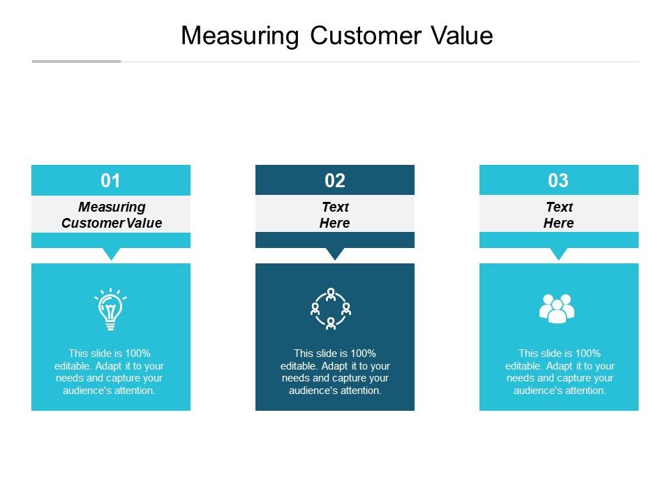 Measuring Customer Value Ppt PowerPoint Presentation Ideas Gridlines Cpb