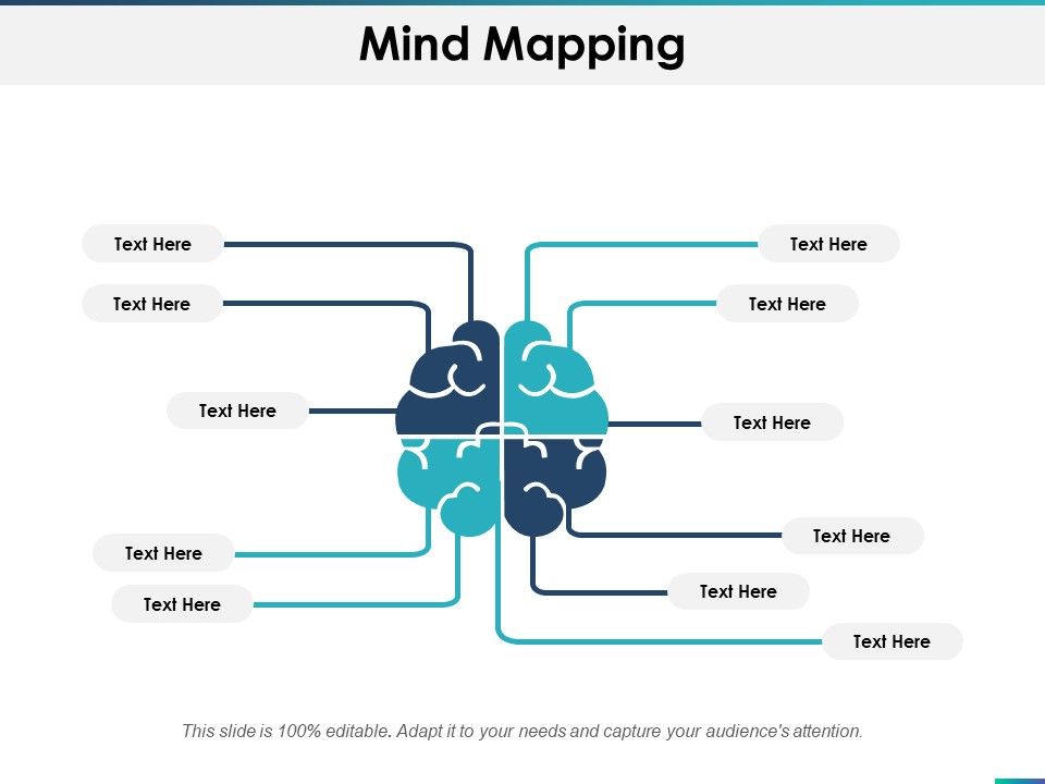 Mind Mapping Knowledge Ppt PowerPoint Presentation Professional Graphics Design