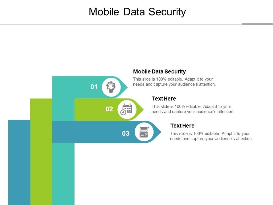 Mobile Data Security Ppt PowerPoint Presentation Model Slides Cpb