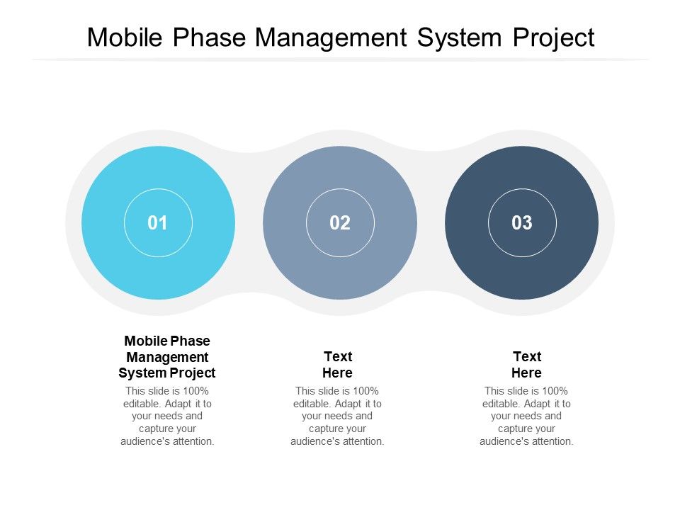 Mobile Phase Management System Project Ppt PowerPoint Presentation Slides Deck Cpb Pdf