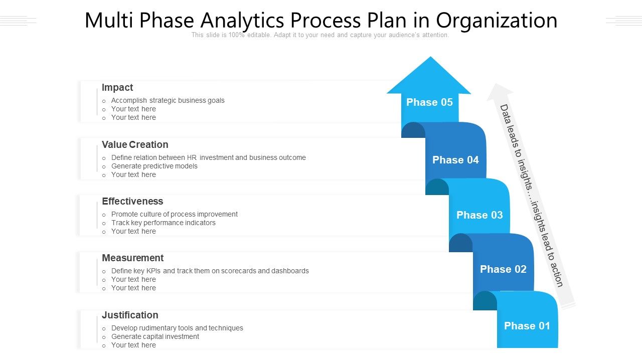 Multi Phase Analytics Process Plan In Organization Ppt PowerPoint Presentation Gallery Slide ...