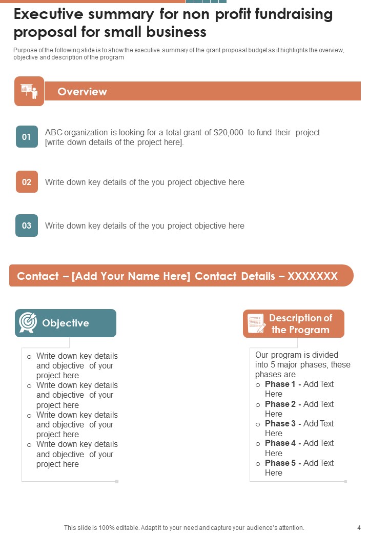 Non Profit Fundraising Proposal For Small Business Example Document Report