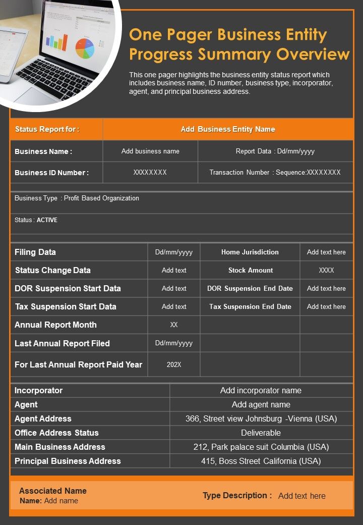 One Pager Business Entity Progress Summary Overview PDF Document PPT Template