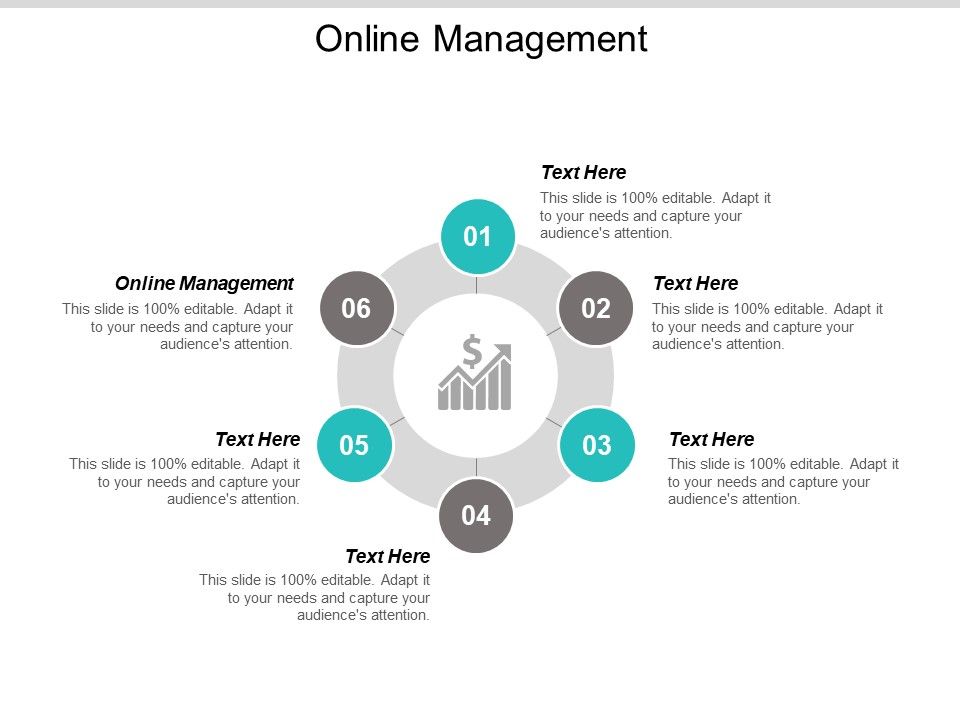 Online Management Ppt PowerPoint Presentation Layouts Graphics Cpb