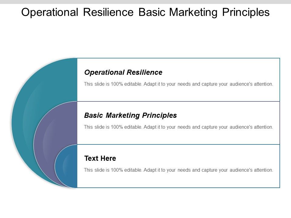 Operational Resilience Basic Marketing Principles Ppt Powerpoint