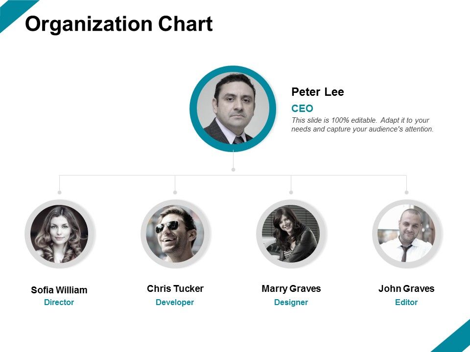 Organization Chart Communication Ppt PowerPoint Presentation Gallery ...