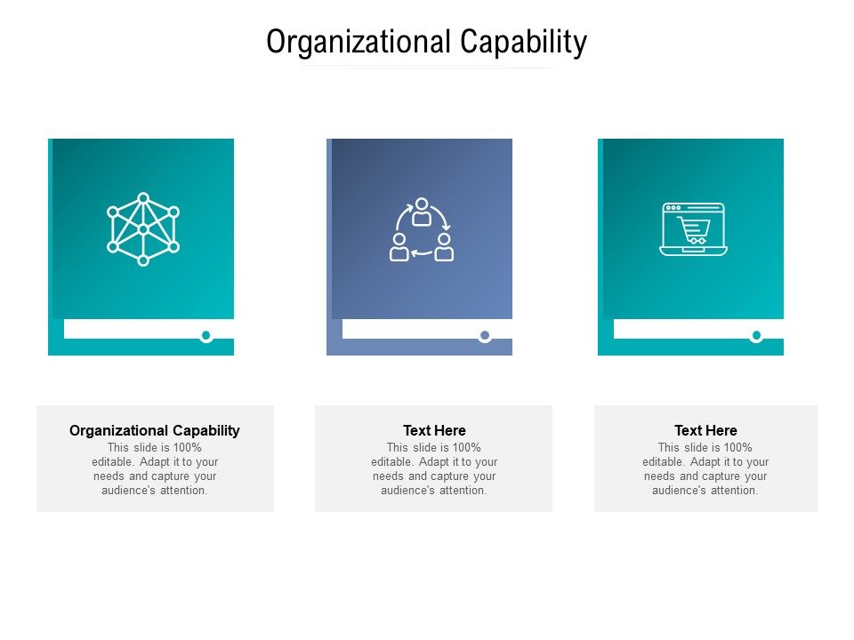 Organizational Capability Ppt PowerPoint Presentation Professional Ideas Cpb Pdf