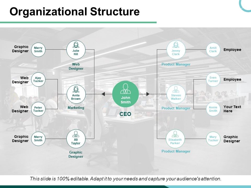 Organizational Structure Ppt Powerpoint Presentation Layouts Backgrounds