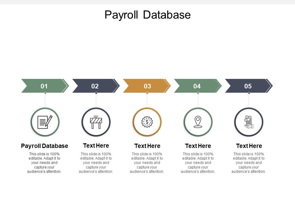 payroll database ppt powerpoint presentation gallery topics cpb