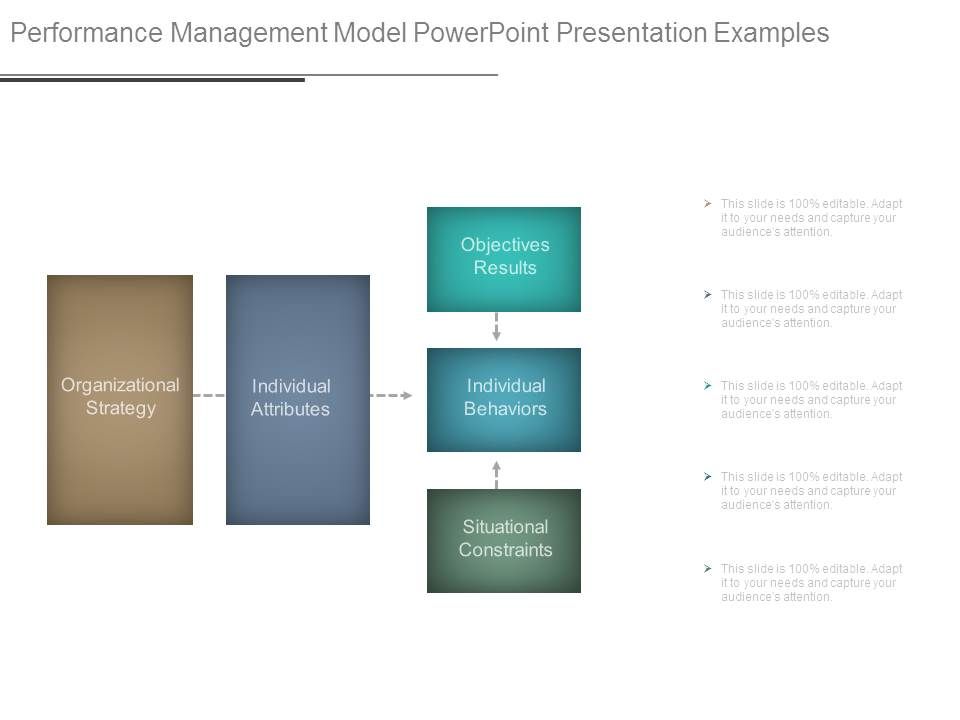 Performance Management Model Powerpoint Presentation Examples
