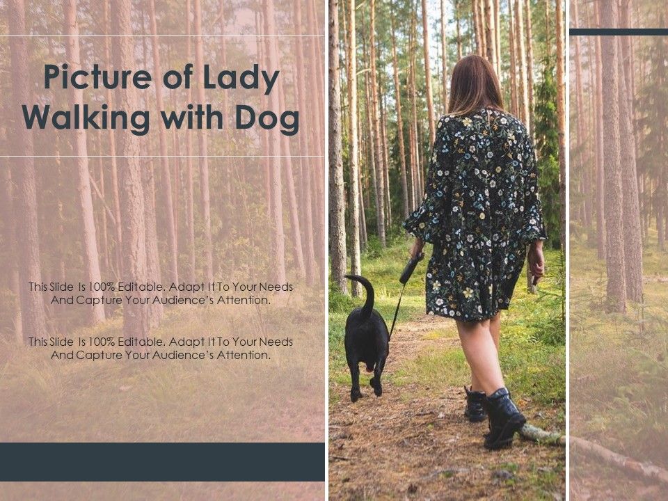 Picture Of Lady Walking With Dog Ppt PowerPoint Presentation File ...