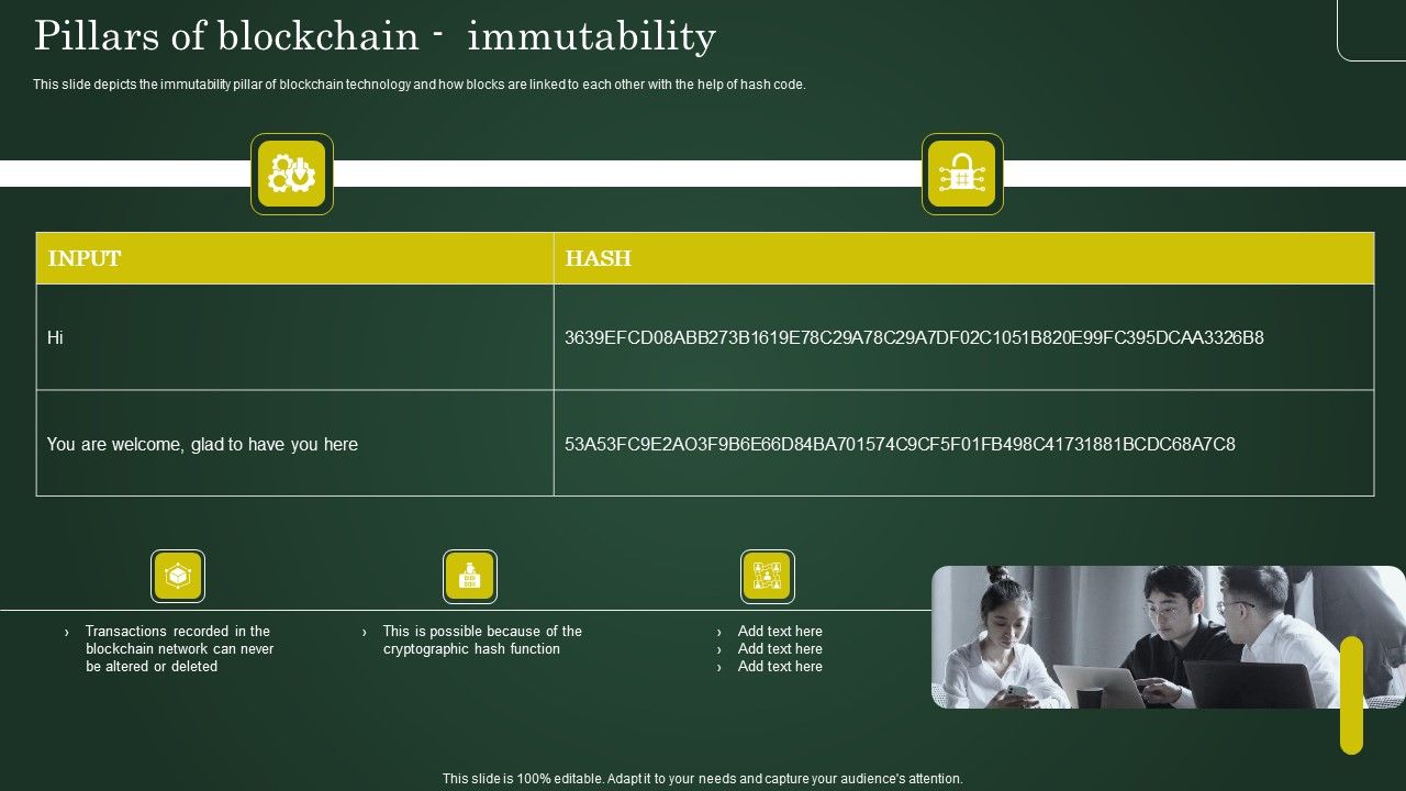 Pillars Of Blockchain Immutability Involving Cryptographic Ledger To Enhance Professional Pdf