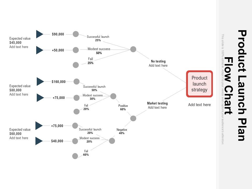 Product Launch Plan Flow Chart Ppt PowerPoint Presentation Styles Inspiration PDF
