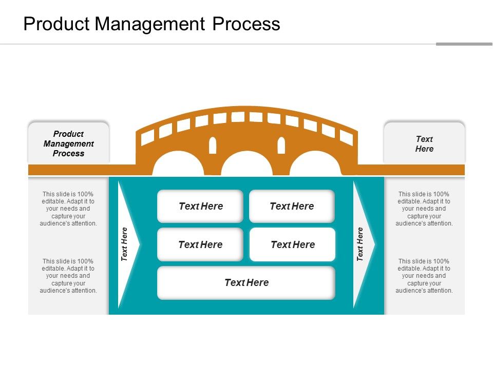 Product Management Process Ppt PowerPoint Presentation Infographic Template Microsoft Cpb