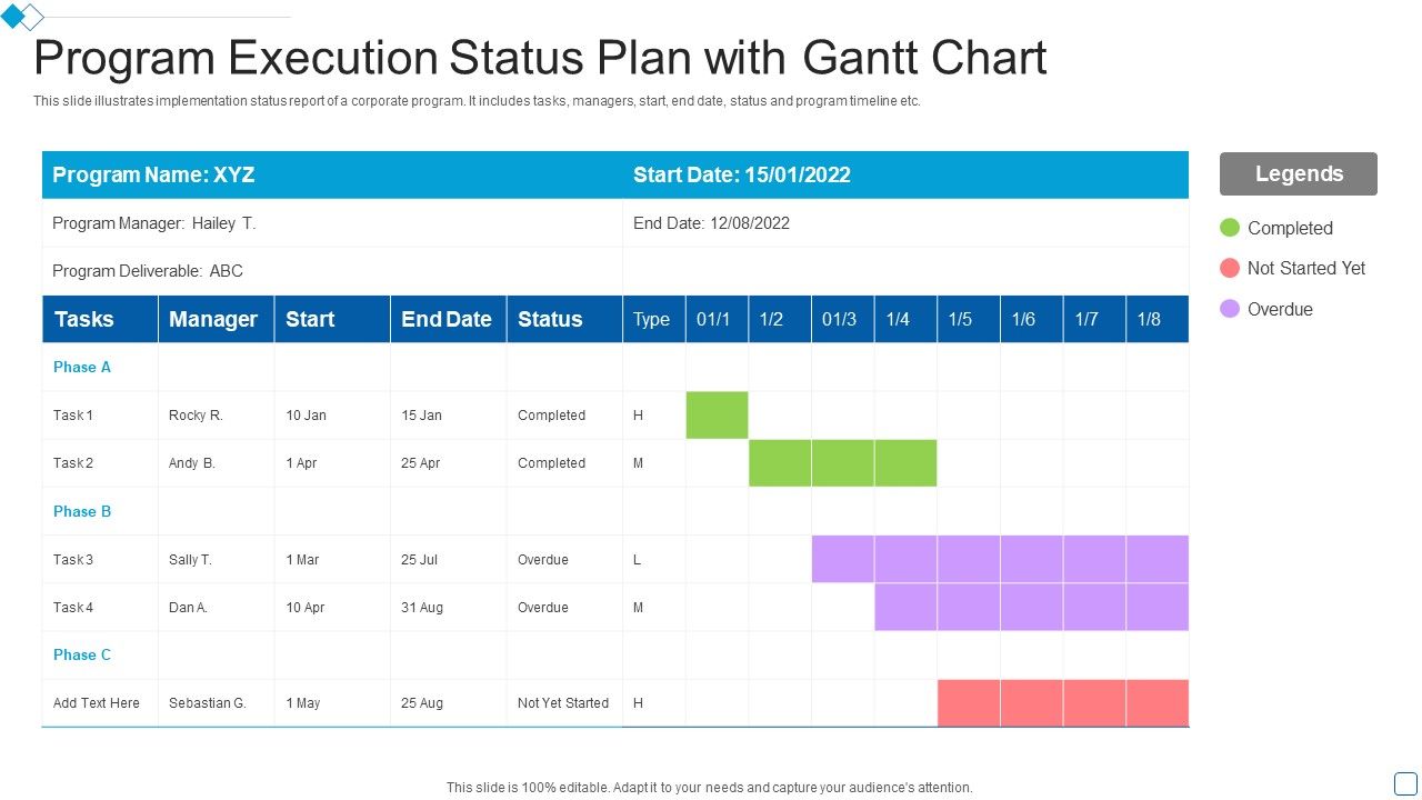 Program Execution Status Plan With Gantt Chart Designs PDF
