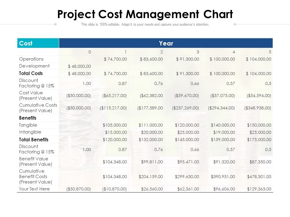 Project Cost Management Chart Ppt Powerpoint Presentation Infographic Template Layout Ideas Pdf