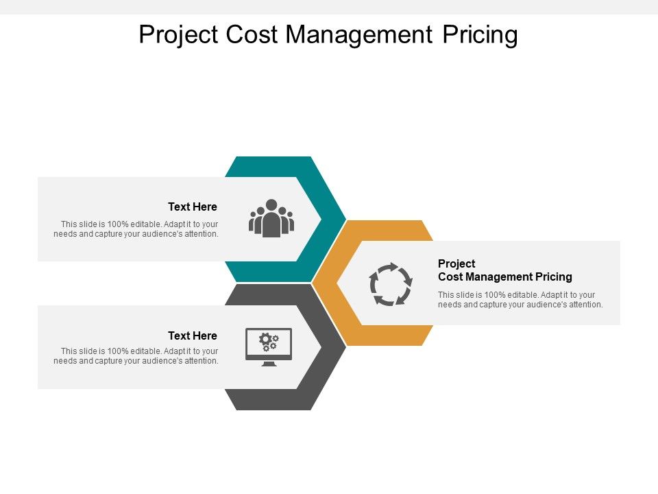Project Cost Management Pricing Ppt PowerPoint Presentation Styles Slide Download Cpb