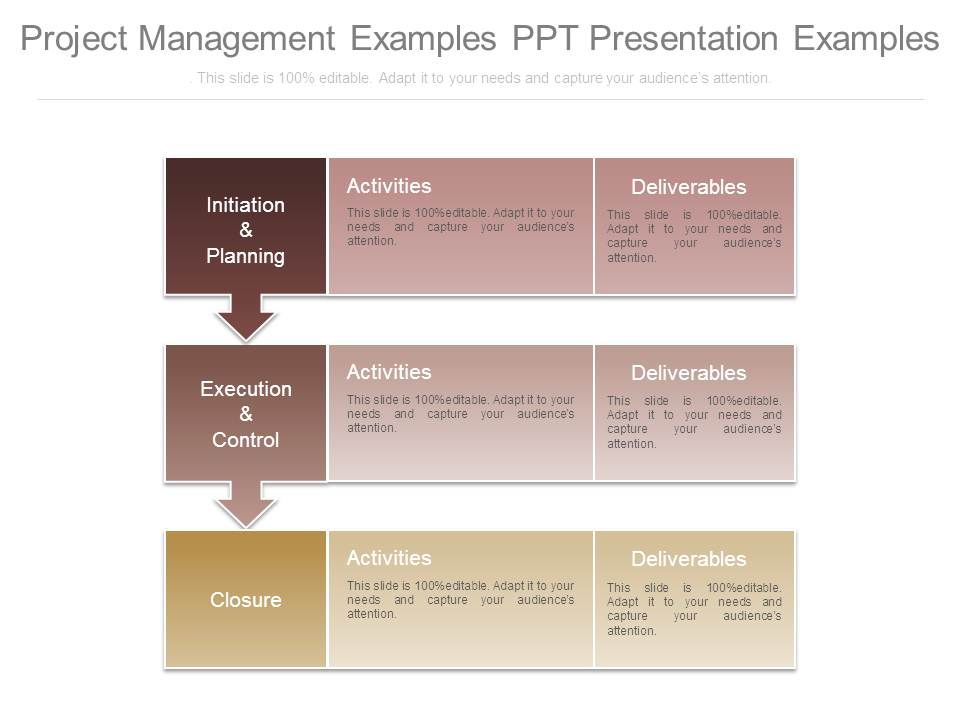 Project Management Examples Ppt Presentation Examples