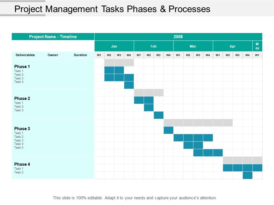 Project Management Tasks Phases And Processes Ppt PowerPoint Presentation Outline Graphics Design